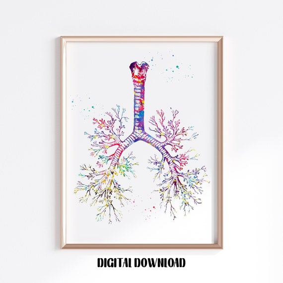Bronchial Tree Lungs Art Anatomy Alveolar Respiratory System | Etsy