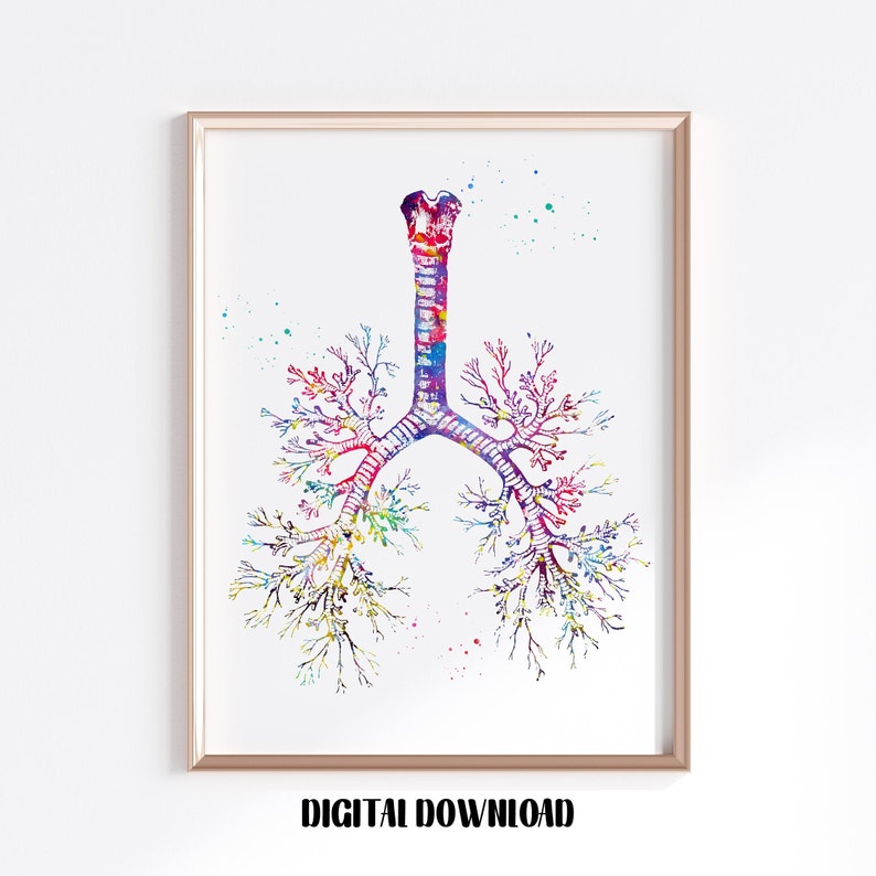 Bronchial Tree Lungs Art Anatomy Alveolar Respiratory System - Etsy