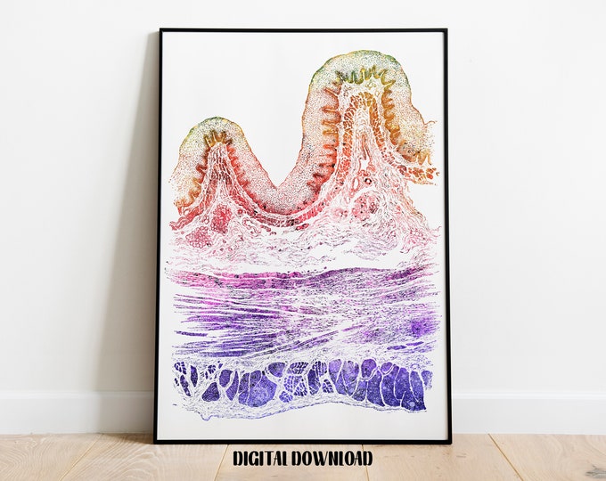 Esophagus Watercolor Art Print Gastrointestinal Painting - Etsy