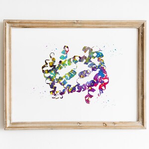 Hemoglobin Blood Cells Anatomy Biology Poster Medical Science ...