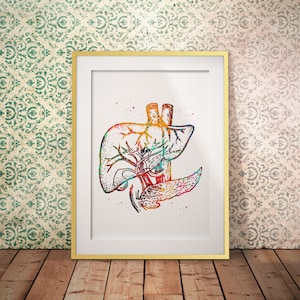 Human Liver Poster Medical Science Watercolor Digital Printable ...
