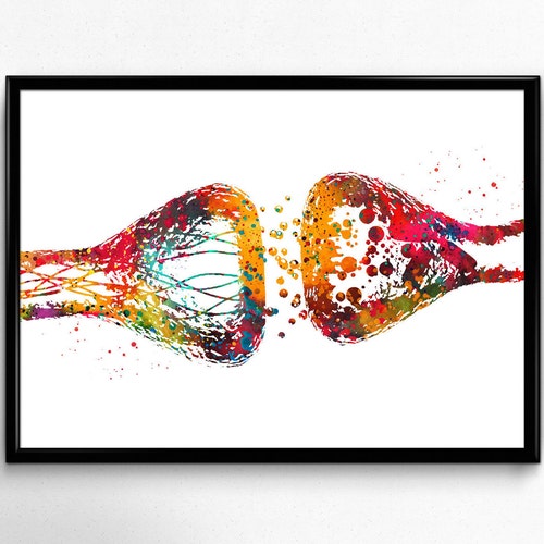 Synapse Science Art Print Synaptic Cleft Biology Poster Wall | Etsy