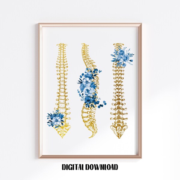 Spinal Column Svg - Etsy Canada