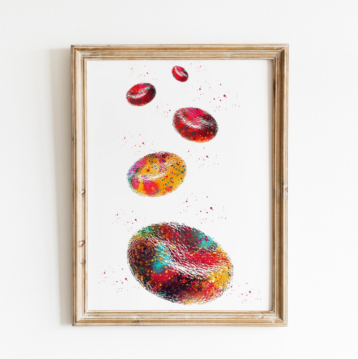 Red Blood Cells Blood Histology Hematology Poster Medical | Etsy
