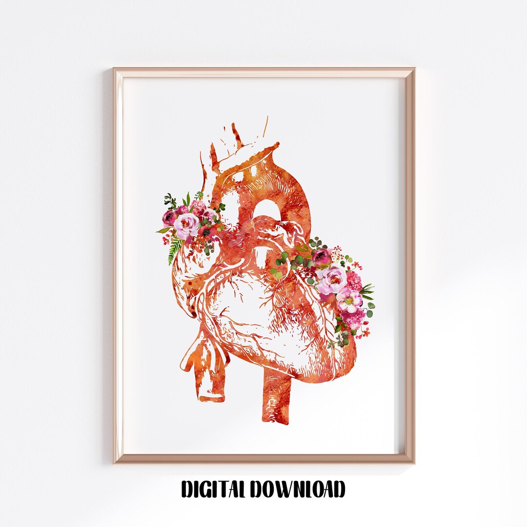 Human Heart Poster Anatomy Surgery Medical Science Watercolor - Etsy