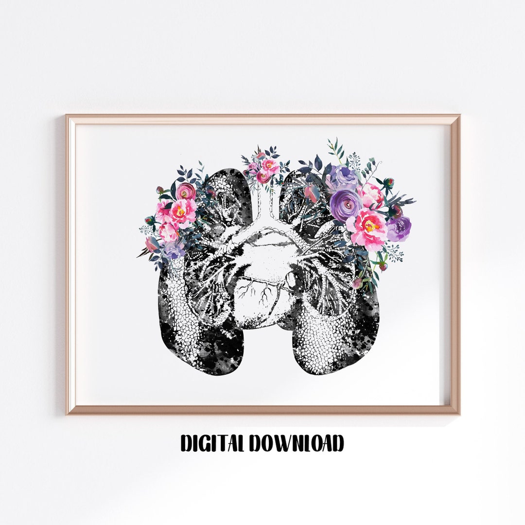 Lungs and Heart Anatomy Cardiovascular System Poster - Etsy