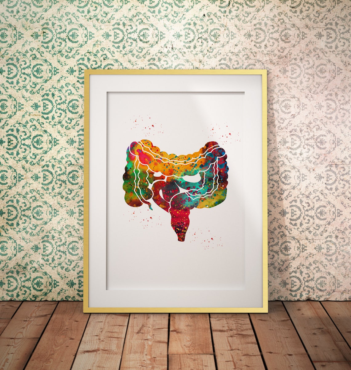 Large and Small Intestine Poster Medical Science Watercolor - Etsy