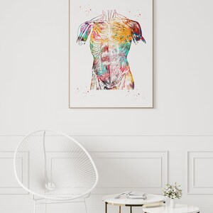 Torso Muscles Anatomy Poster Medical Science Watercolor Digital ...