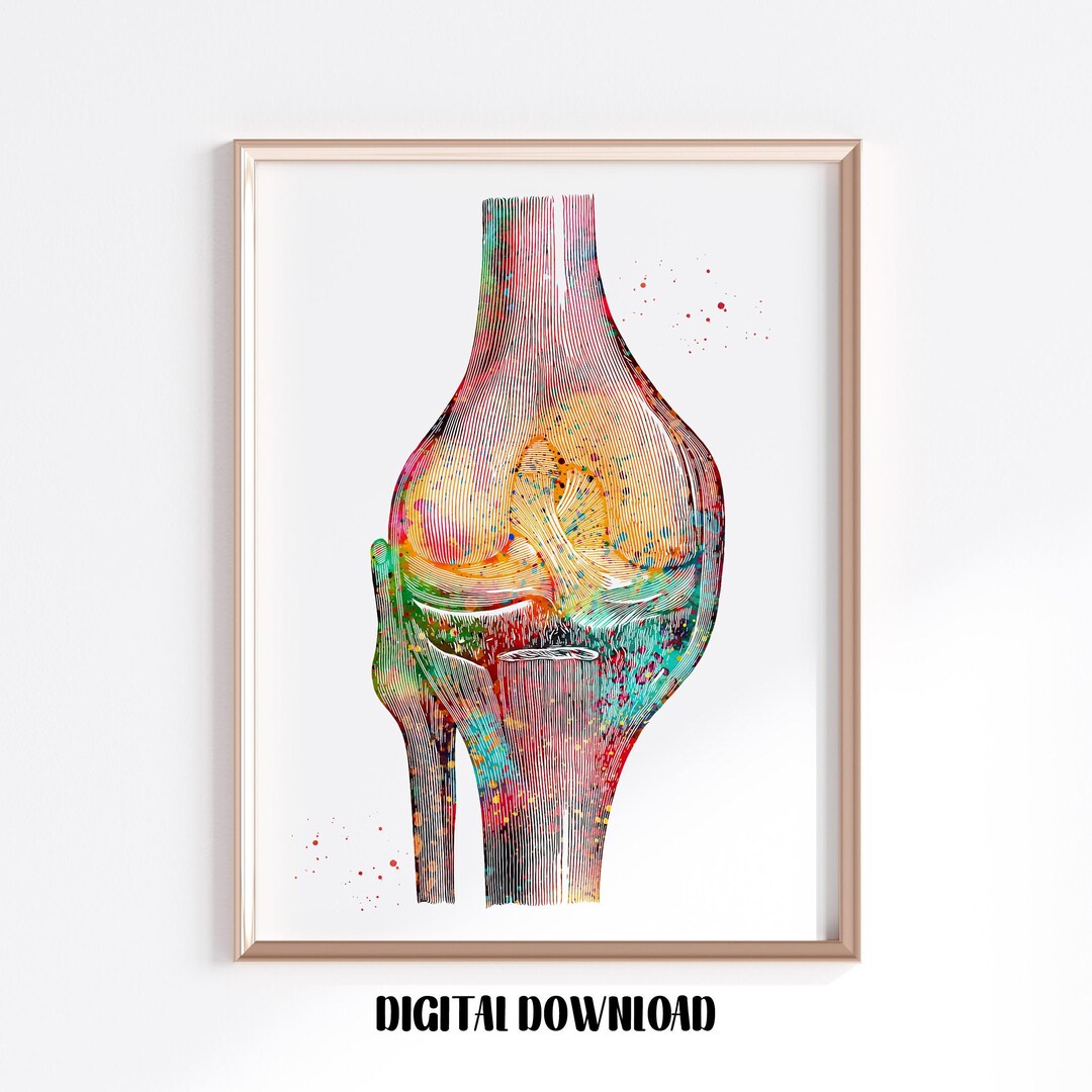 Knee Bone Human Anatomy Orthopedic Skeletal System Leg Bones Poster ...