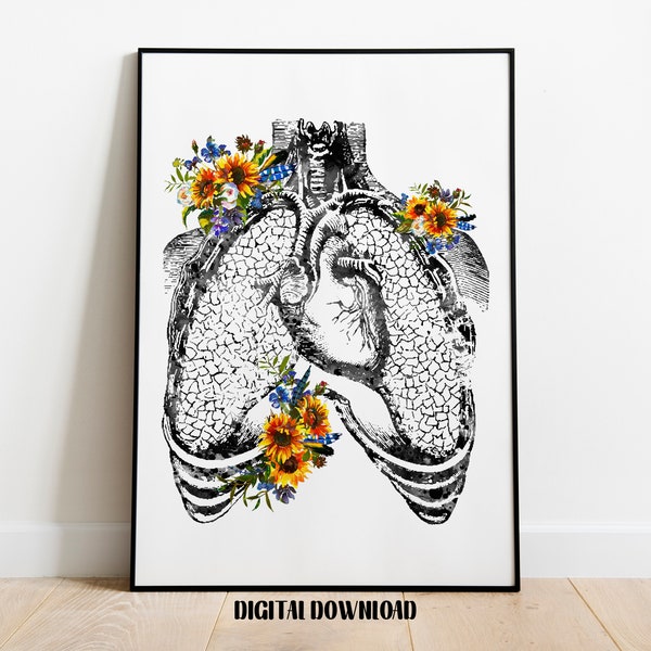 Cardiovascular System Poster - Etsy