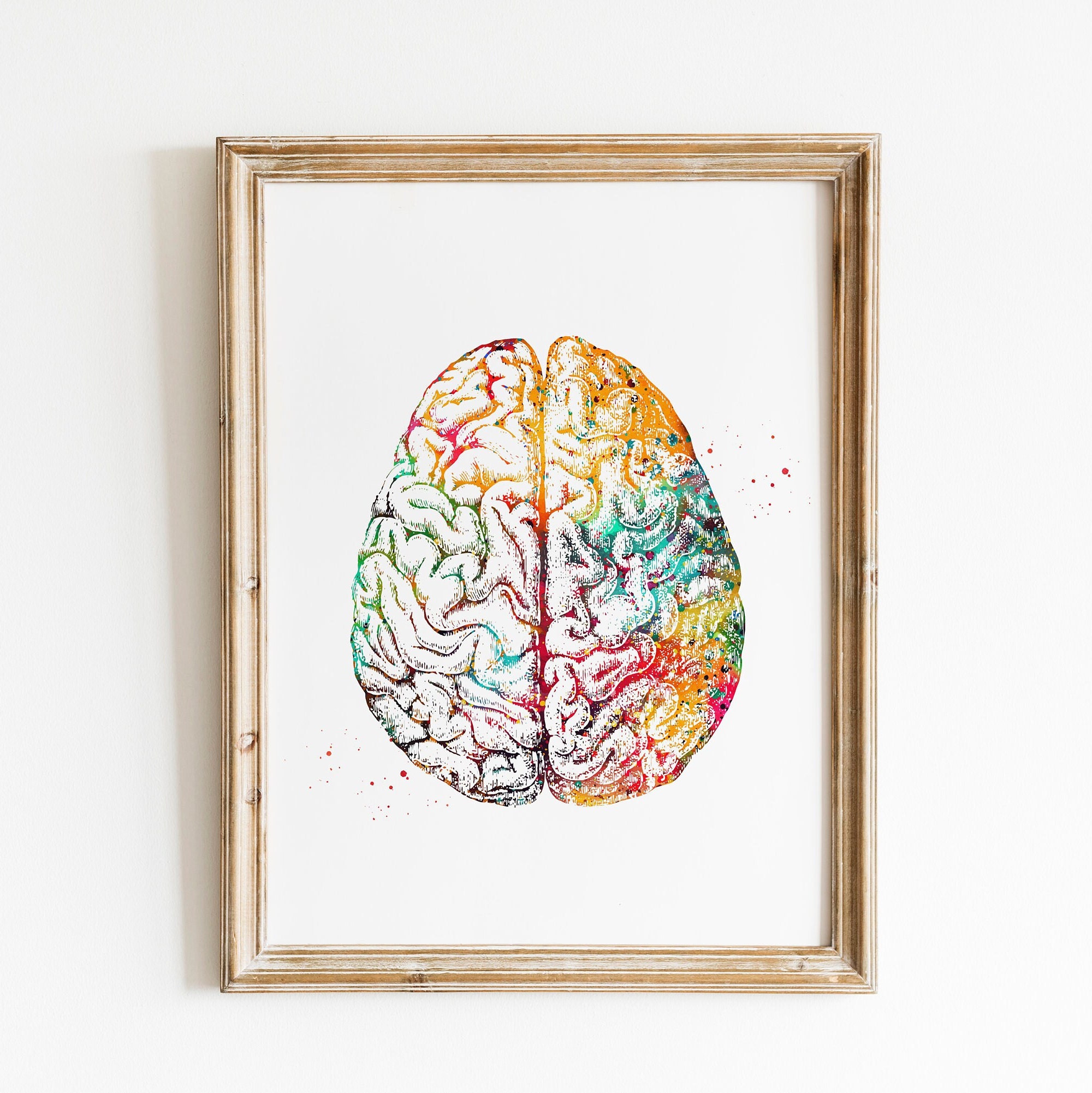 Human Brain Poster Medical Science Watercolor Digital - Etsy