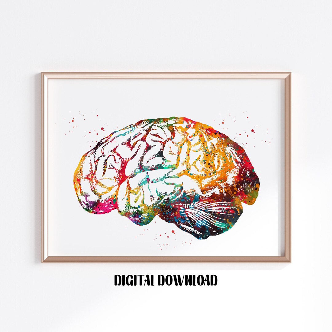 Human Brain Anatomy Medical Science Art Watercolor Digital Printable ...