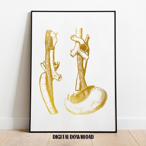 Esophagus and Stomach Anatomy Poster Medical Science Golden Digital ...