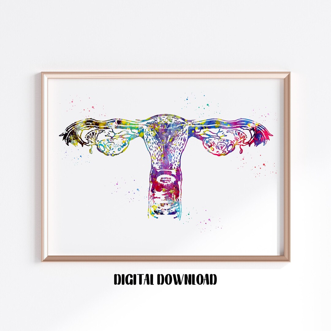 Uterus Human Organs Gynecology Anatomical Clinic Decor Medical Nurse ...