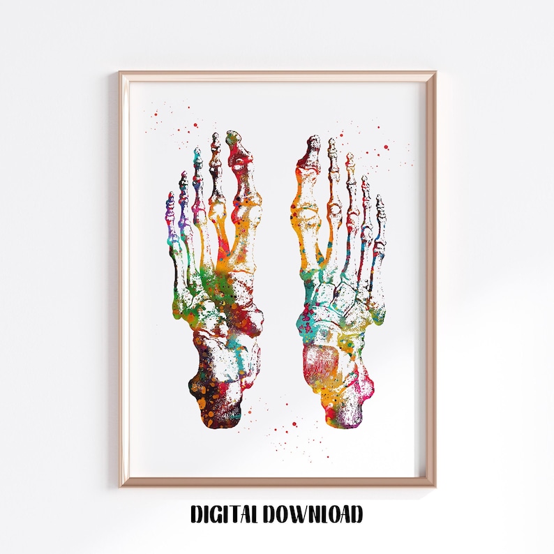 Foot Bones Orthopedic Surgery Skeletal System Anatomy Poster - Etsy
