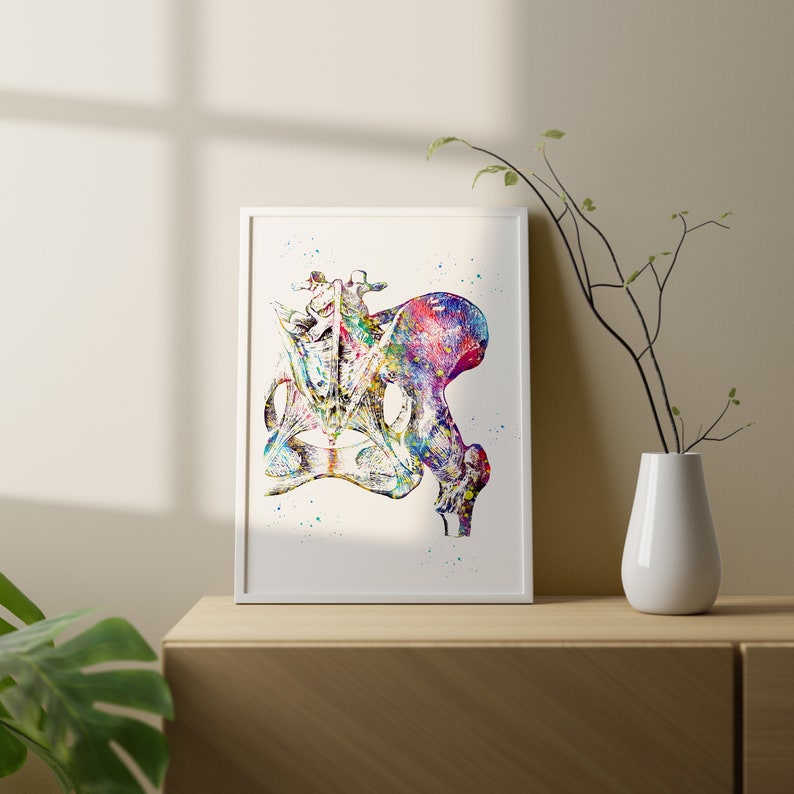 Hip Bone Ligaments and Joint Poster Medical Science Watercolor | Etsy