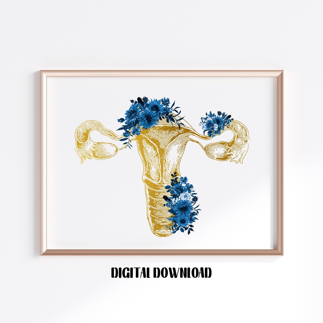 Female Reproductive System Uterus Anatomy Fallopian Tubes Ovaries ...