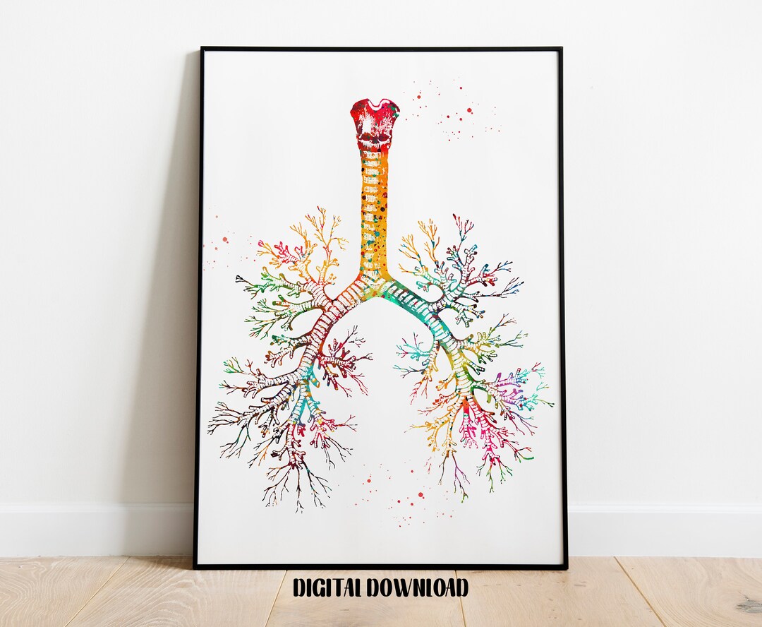 Bronchial Tree Lungs Art Anatomy Alveolar Respiratory System Human ...