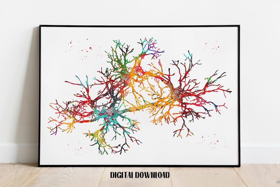 Neuron Cells Neurology Art Abstract Nerve Synapse Poster Science ...