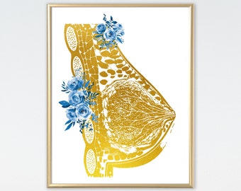 Breast Anatomy Poster | Etsy