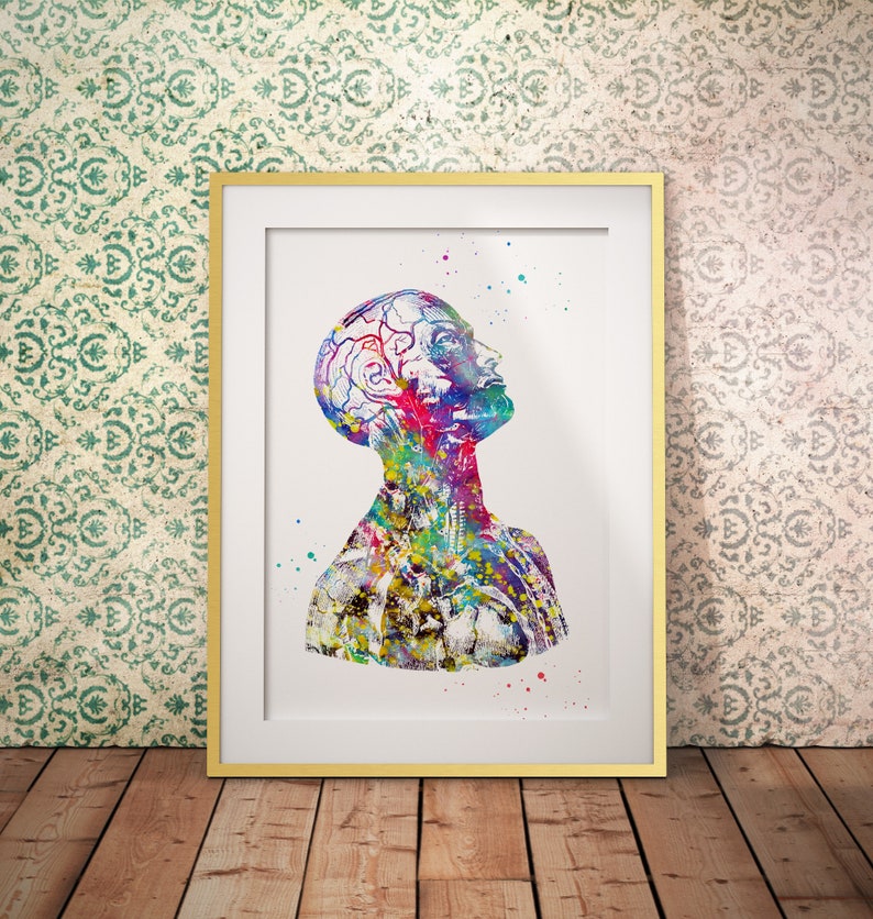 Head and Torso Anatomy Human Head Neck and Shoulder Poster - Etsy