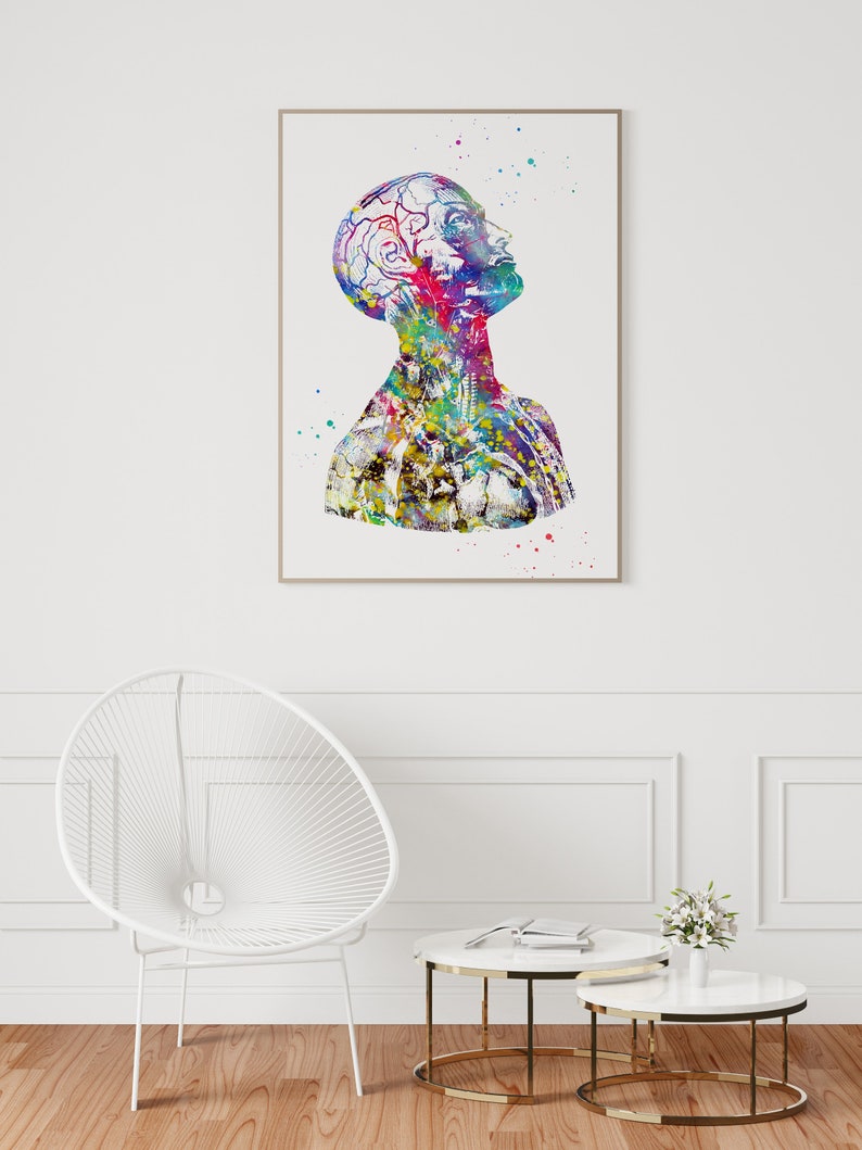 Head and Torso Anatomy Human Head Neck and Shoulder Poster - Etsy