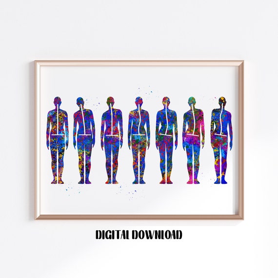 Human Back Shape Anatomy Human Spine Poster Medical Science - Etsy