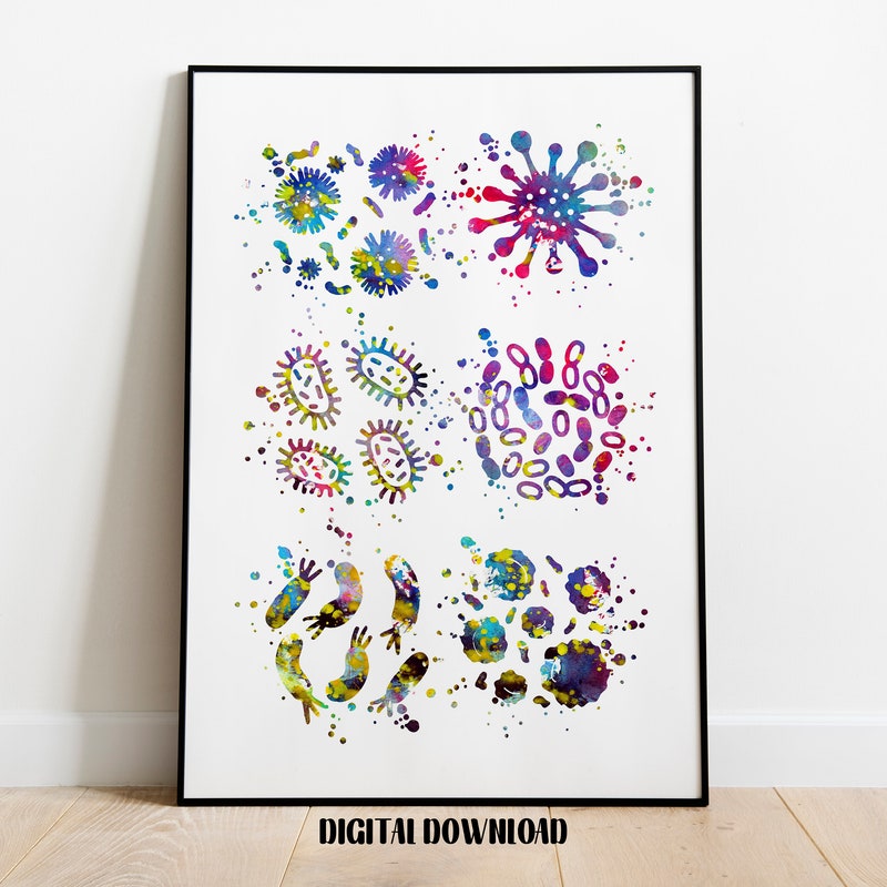 Microbiology Poster - Etsy