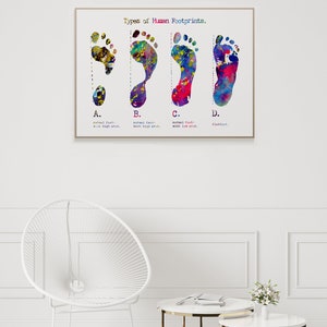 Types of Footprints Orthopedics Art Podiatry Decor Biology Poster ...
