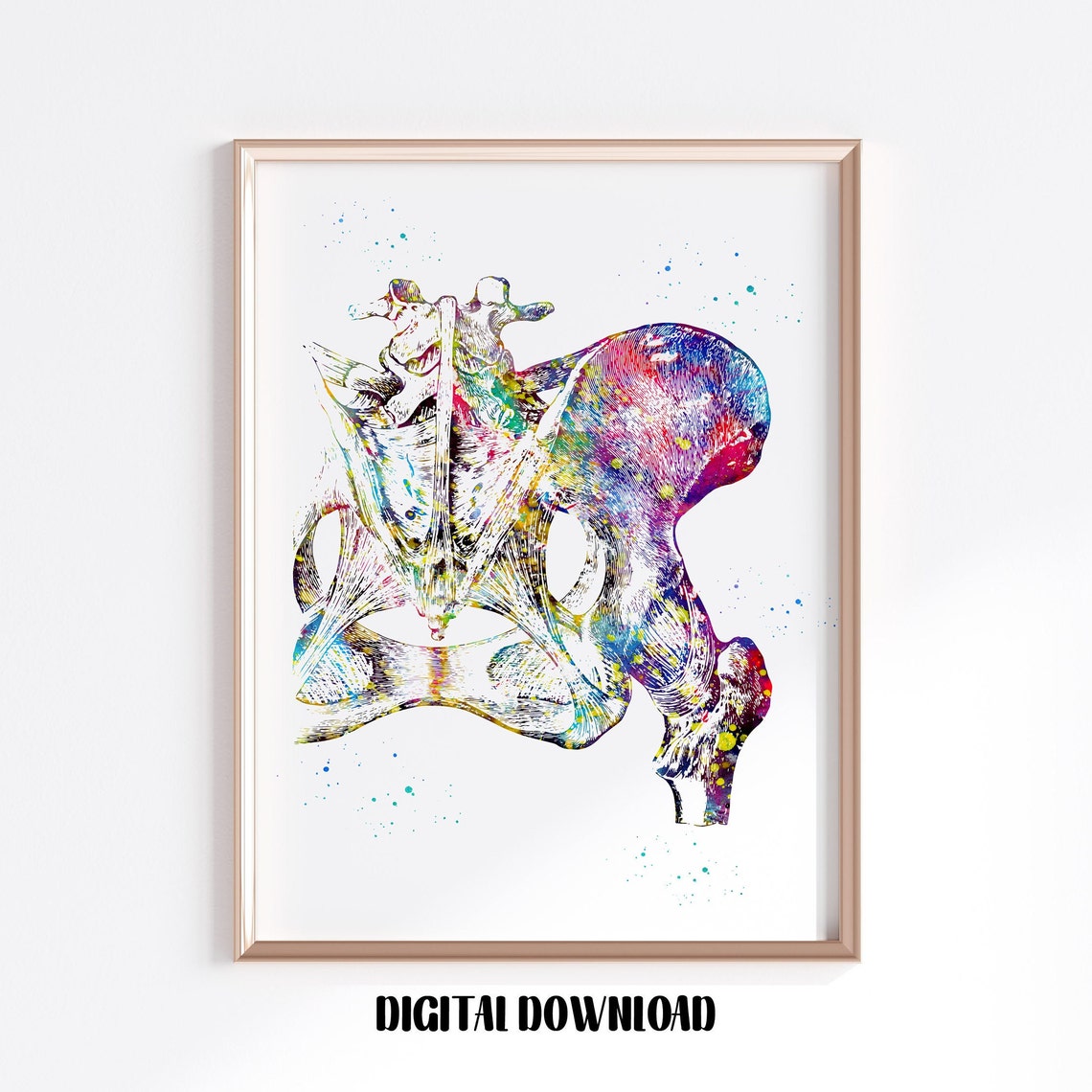 Hip Bone Ligaments and Joint Poster Medical Science Watercolor | Etsy