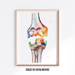 Elbow Anatomy Joints Ligaments and Tendons Orthopedic Surgery Poster ...