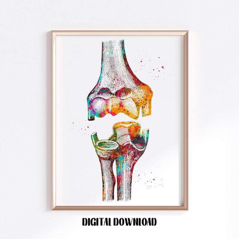 Elbow Anatomy Joints Ligaments and Tendons Orthopedic Surgery - Etsy