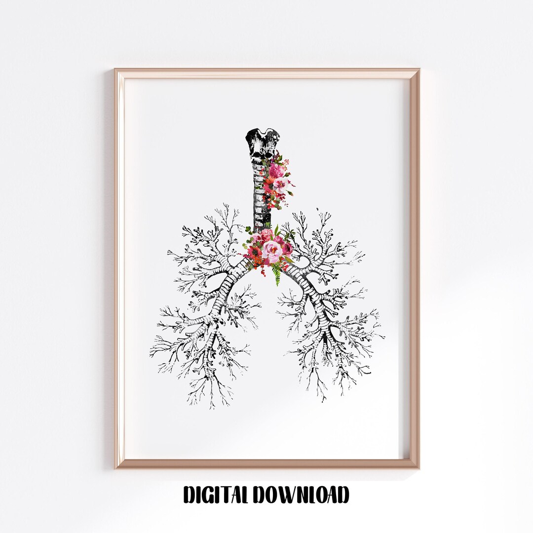Bronchial Tree Lungs Anatomy Alveolar Respiratory System Human ...