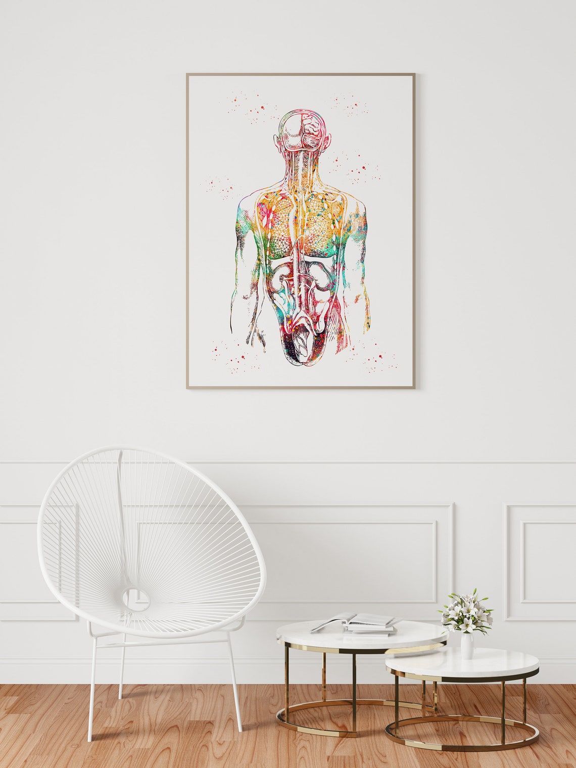 Internal Organs and Circulatory System Anatomy Biology Poster - Etsy