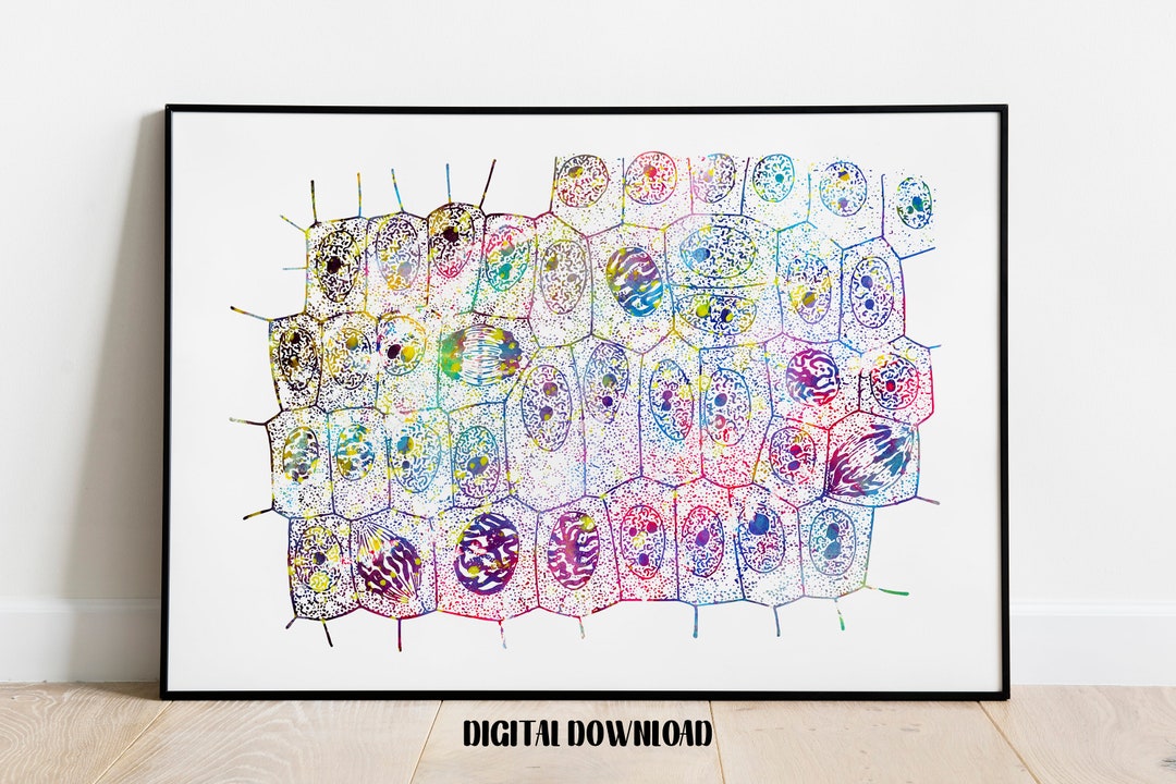 Mitosis Nature Biology Poster Medical Science Watercolor Digital ...