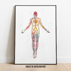 Human Vascular System Human Body Anatomy Biology Poster Medical Science ...