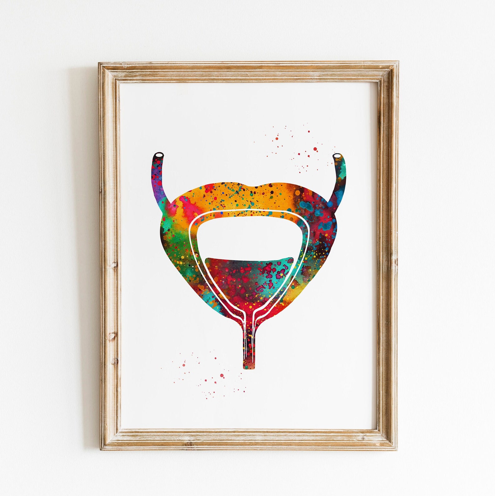 Bladder Urinary System Human Bladder Urology Urinary System | Etsy