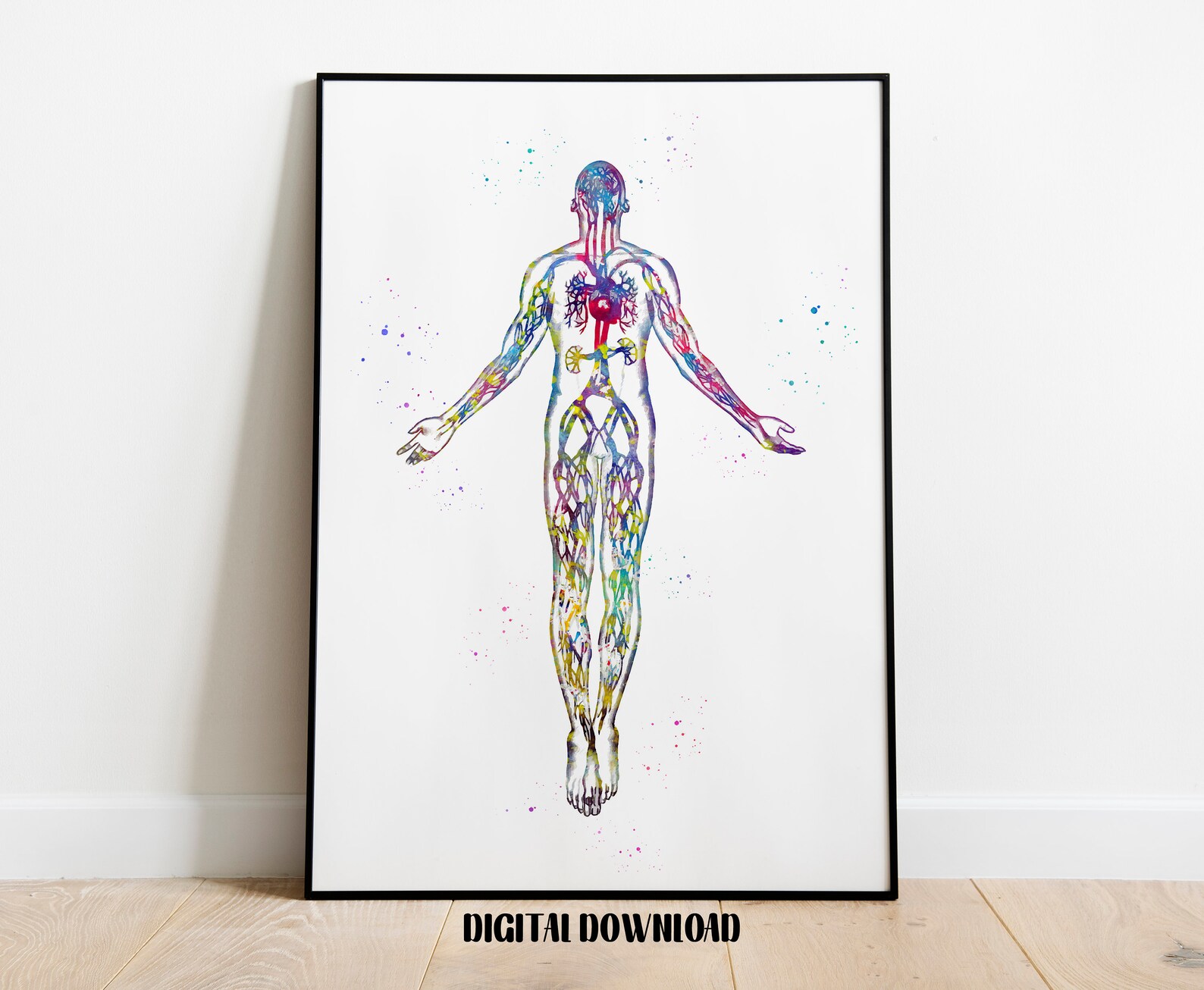 Human Vascular System Human Body Anatomy Biology Poster Medical Science ...