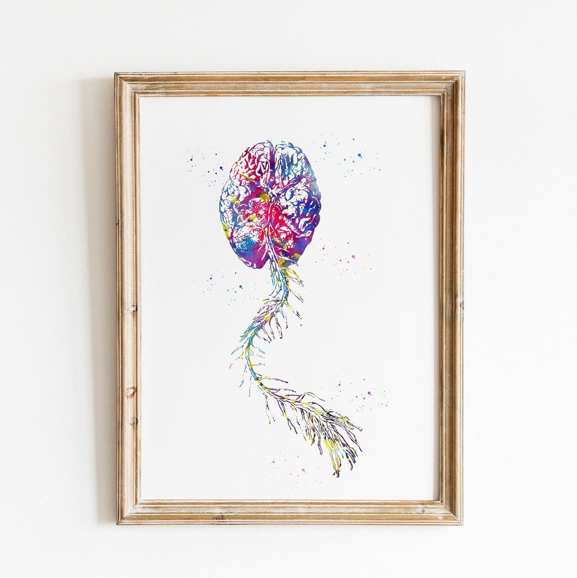 Human Spine With Brain Spinal Cord Anatomy Art Vertebral - Etsy