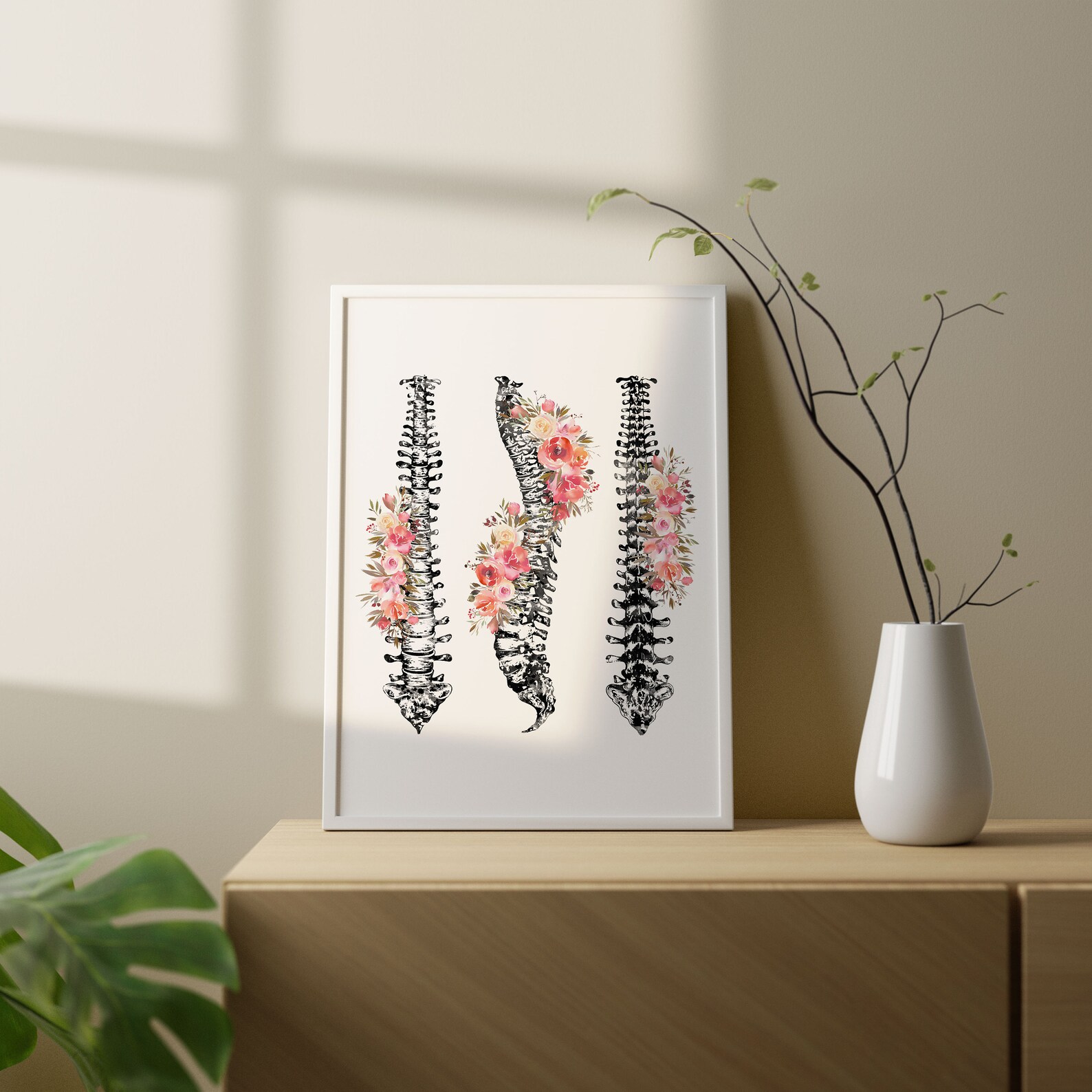 Human Spine Spinal Cord Anatomy Vertebral Column Poster Medical Science ...