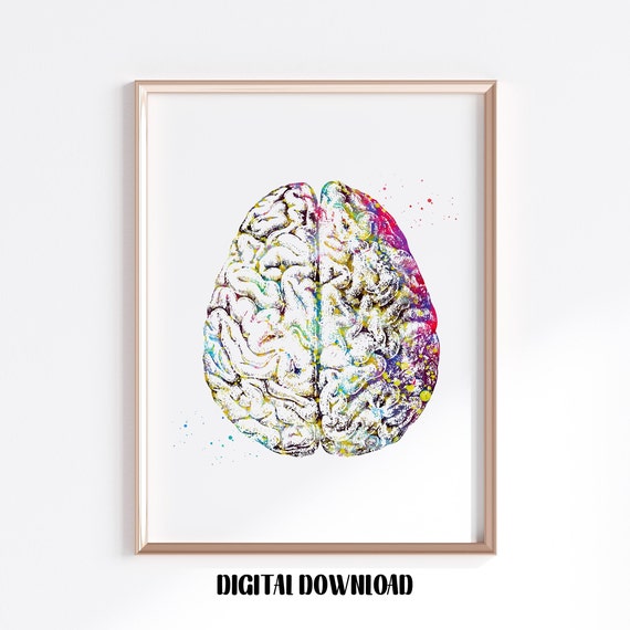 Human Brain Poster Medical Science Watercolor Digital | Etsy