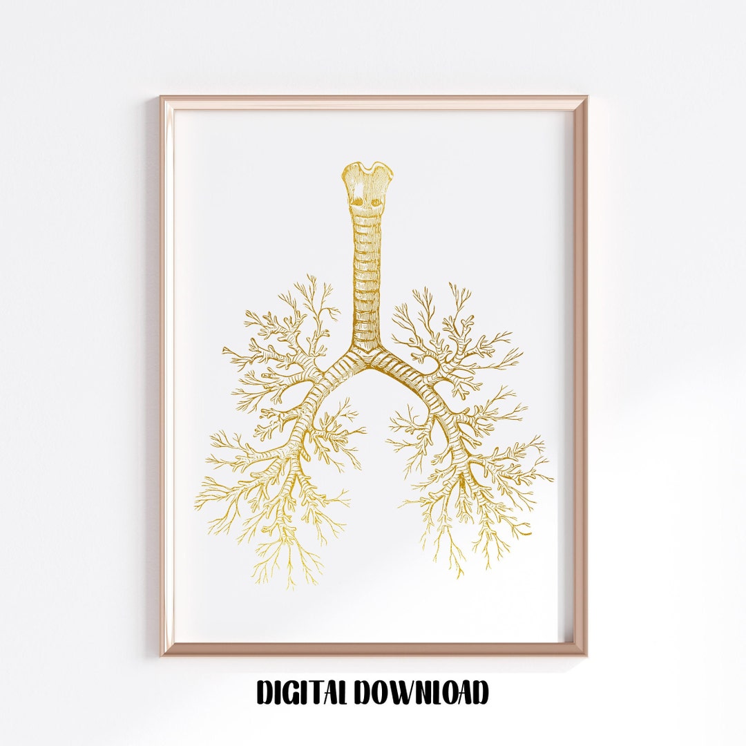 Bronchial Tree Lungs Art Anatomy Alveolar Respiratory System - Etsy