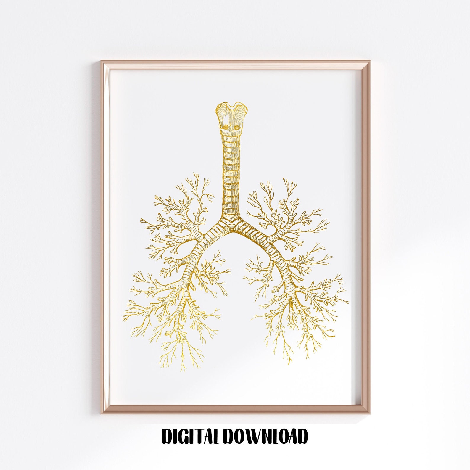 Bronchial Tree Lungs Art Anatomy Alveolar Respiratory System | Etsy