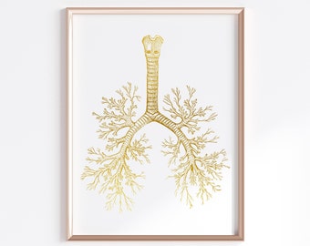 Bronchial Tree Lungs Art Anatomy Alveolar Respiratory System - Etsy
