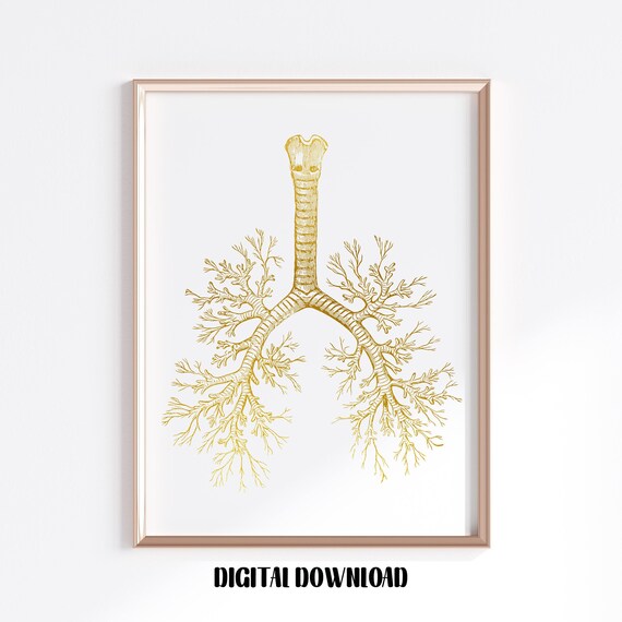 Bronchial Tree Lungs Art Anatomy Alveolar Respiratory System | Etsy