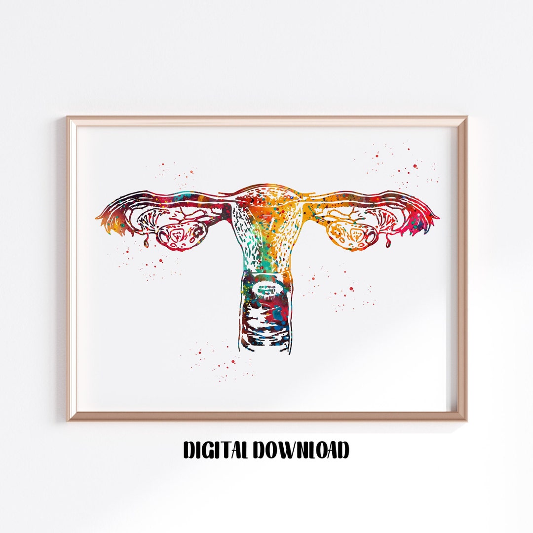 Uterus Human Organs Gynecology Anatomical Clinic Decor Medical Nurse ...