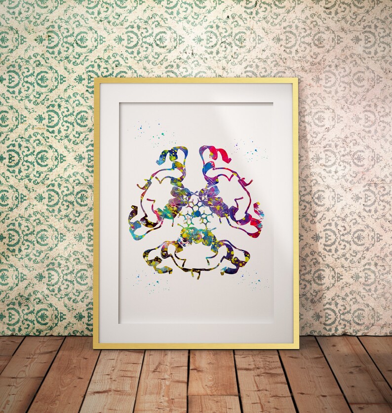 Insulin Structure Poster Diabetes Medication Endocrinology - Etsy