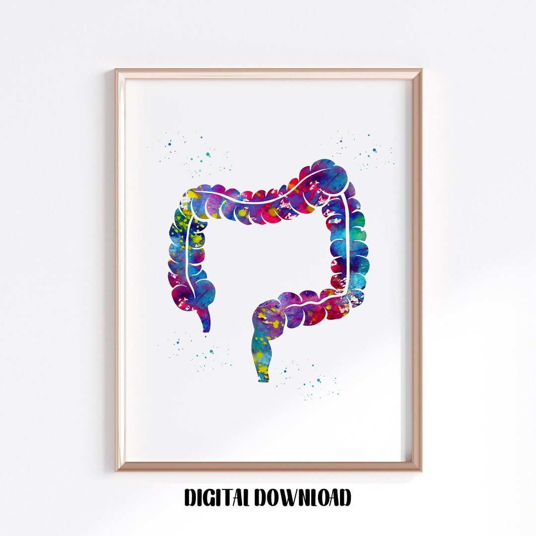 Large Intestine Poster Medical Science Watercolor Digital - Etsy