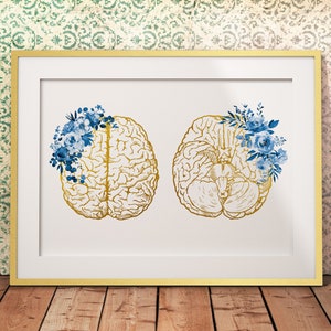 Human Brain Scheme Brain Anatomy Human Brain Science - Etsy