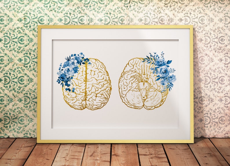 Human Brain Scheme Brain Anatomy Human Brain Science - Etsy